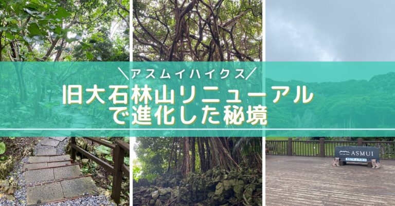 沖縄最北端の秘境アスムイハイクス完全ガイド｜旧大石林山リニューアルで体験するスピリチュアルな絶景と神話の森 | やんばるメディア